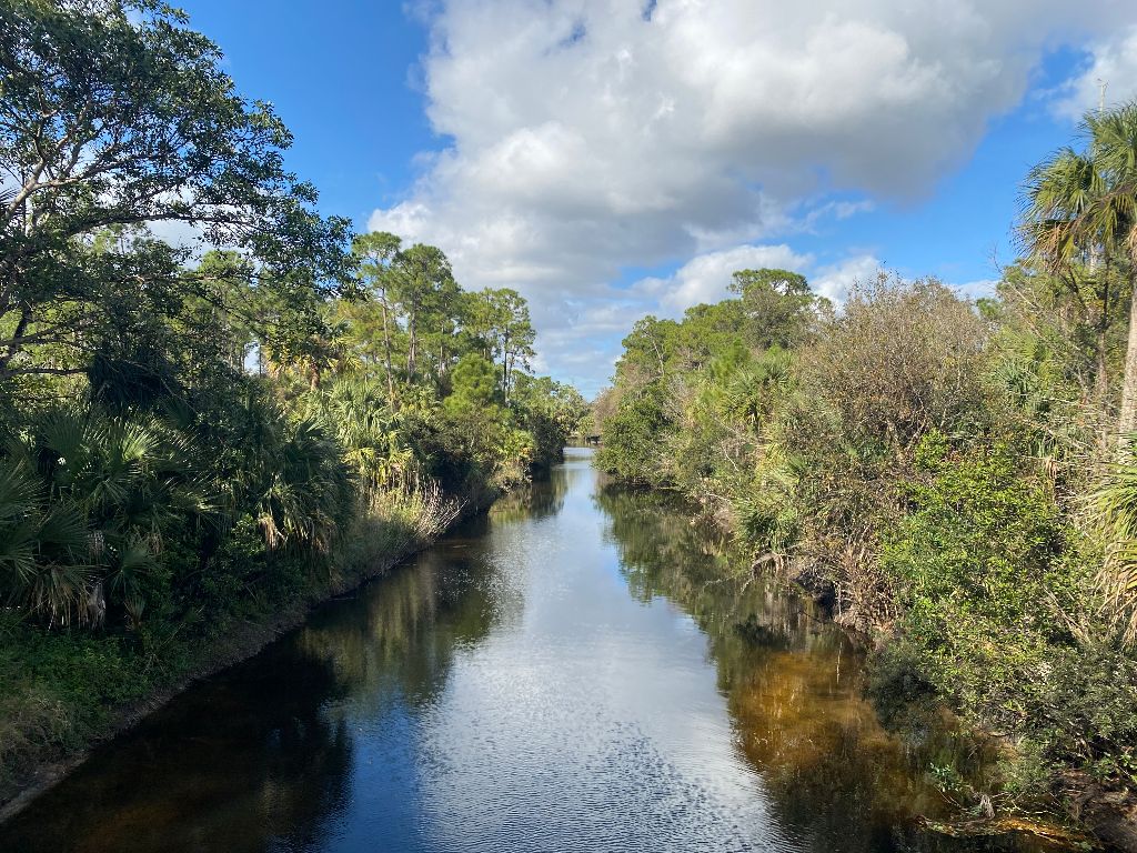 Things to do in Jupiter-Find 5 native plant on paddling tour