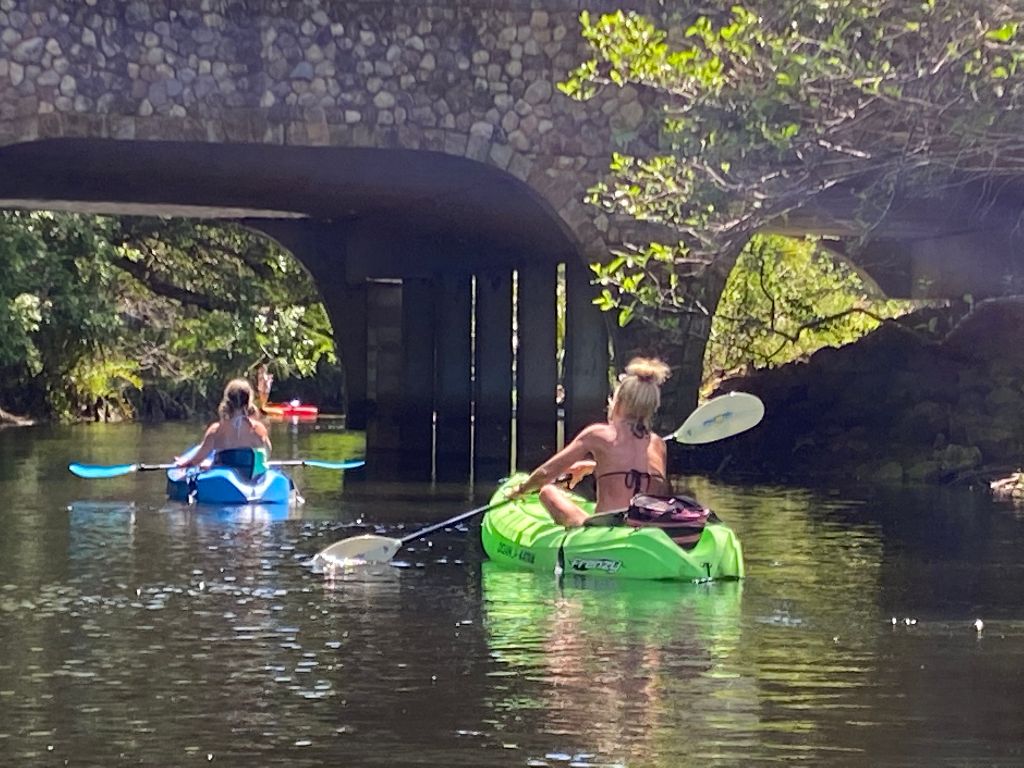 Things To Do In Jupiter - Kayaking on Loxahatchee River & More