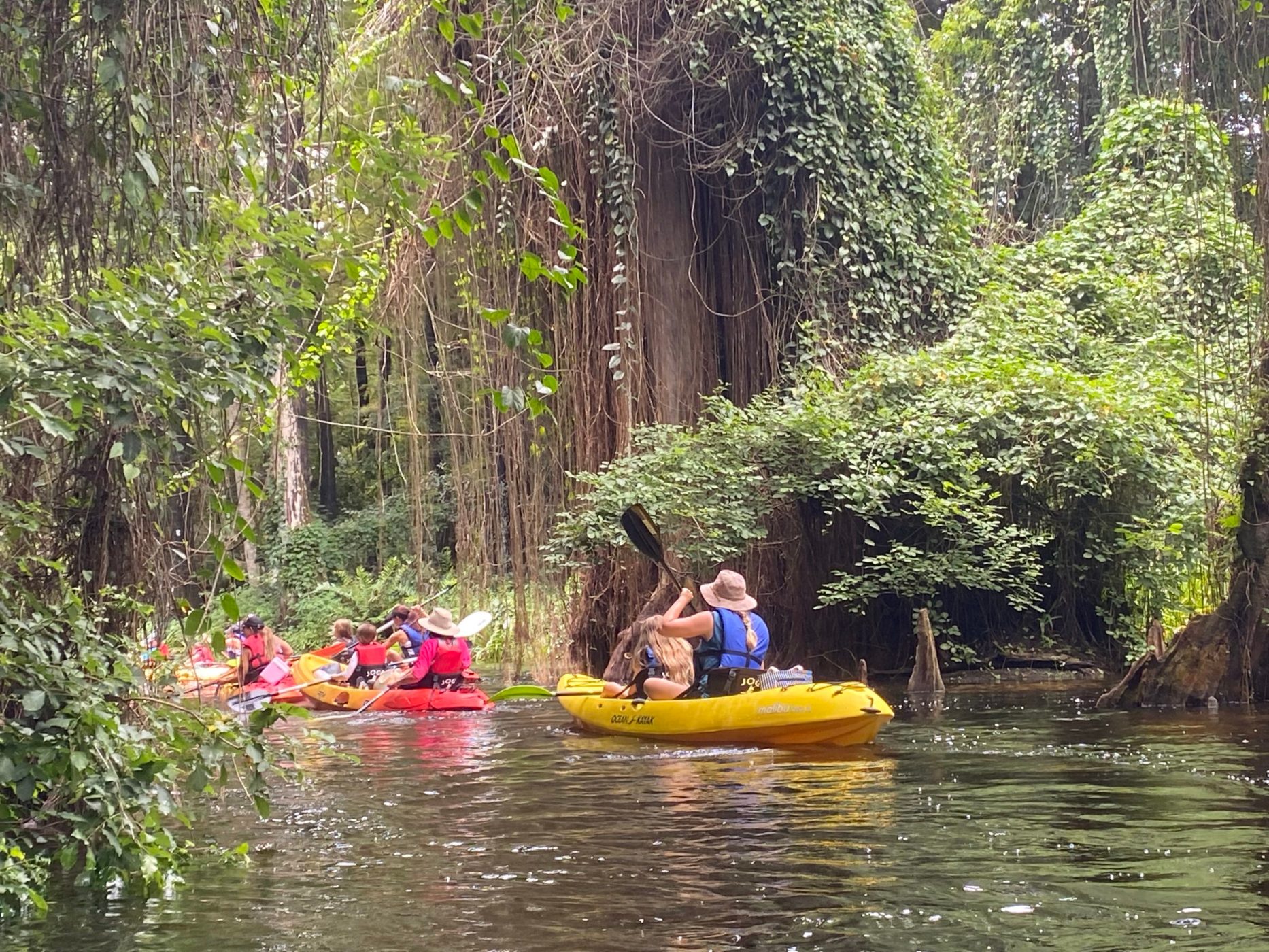 Fun Things To Do in Jupiter | Jupiter Outdoor Center