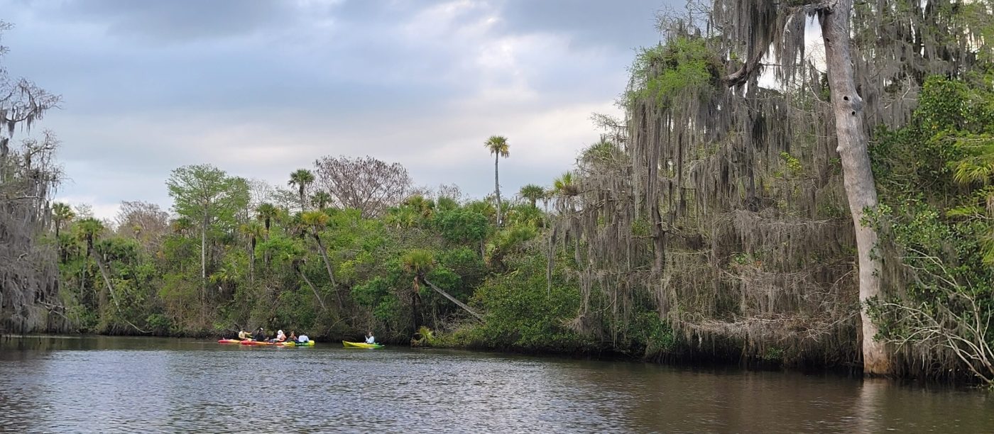 Full Day Guided Tour - Riverbend to Jonathan Dickinson State Park ...