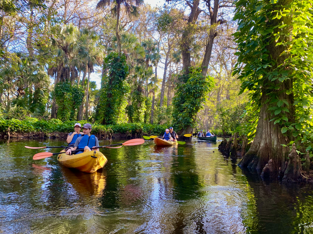 Full Day Guided Tour - Riverbend to Jonathan Dickinson State Park ...